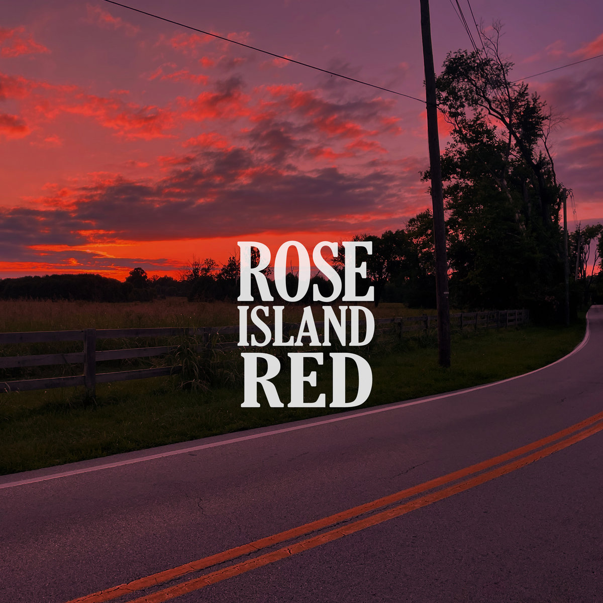 Rose Island Red | Shadwick Wilde | Quiet Hollers