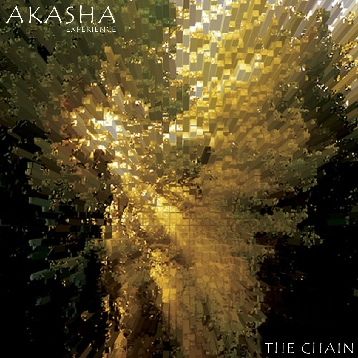 The Chain | Akasha Experience