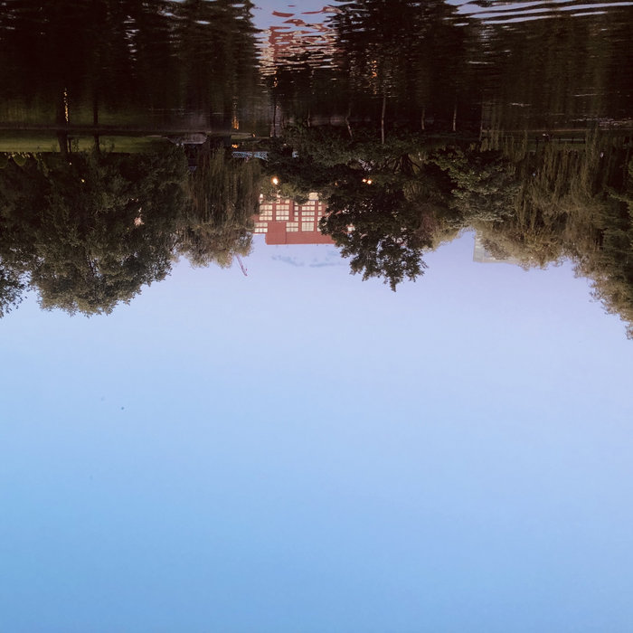 Revealing Light | Will Orchard