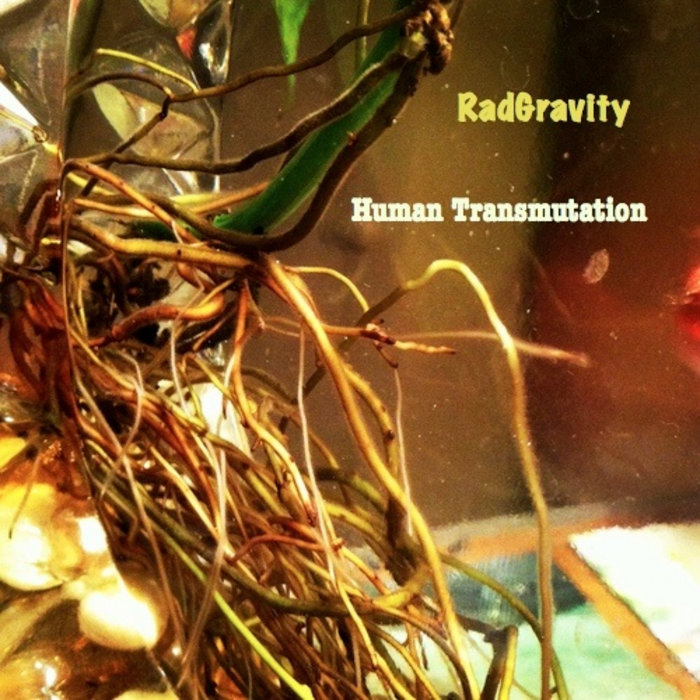 HUMAN TRANSMUTATION | RadGravity | Ailanthus Recordings