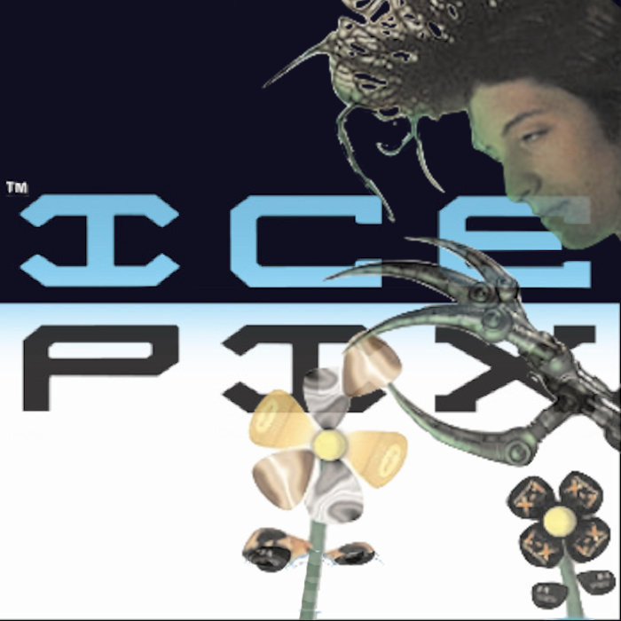 ICE PIX - Our Sponsor & Funding - www.ice-pix.com | About