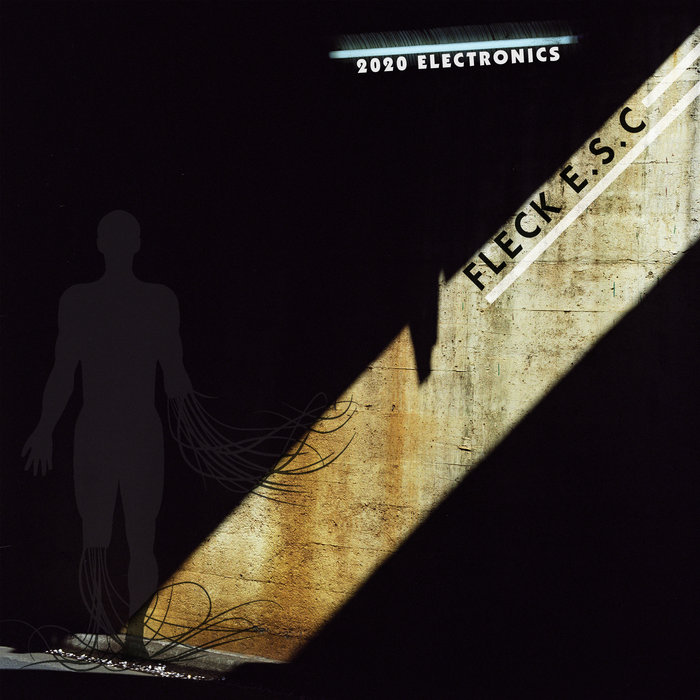 2020 electronics | Fleck E.S.C