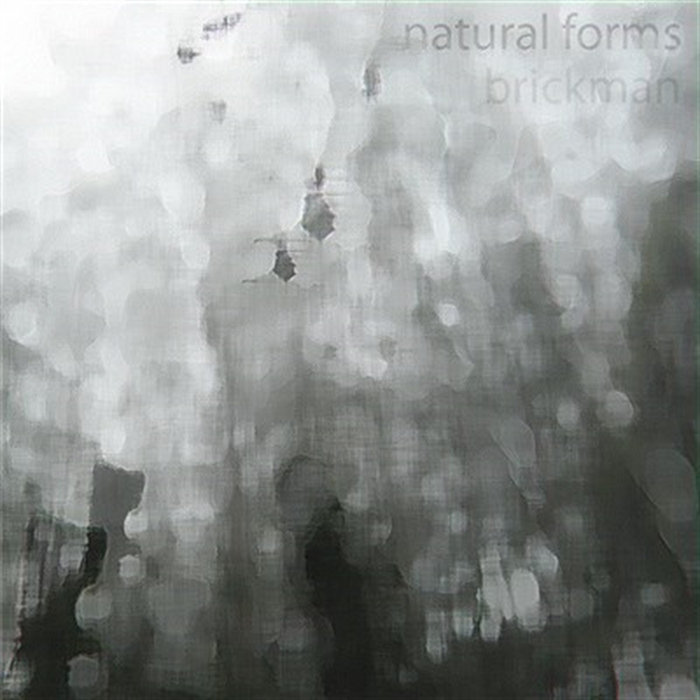 Natural Forms | Brickman
