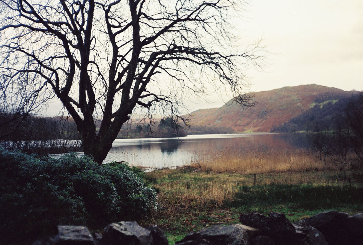 Poems | The Undying Fire