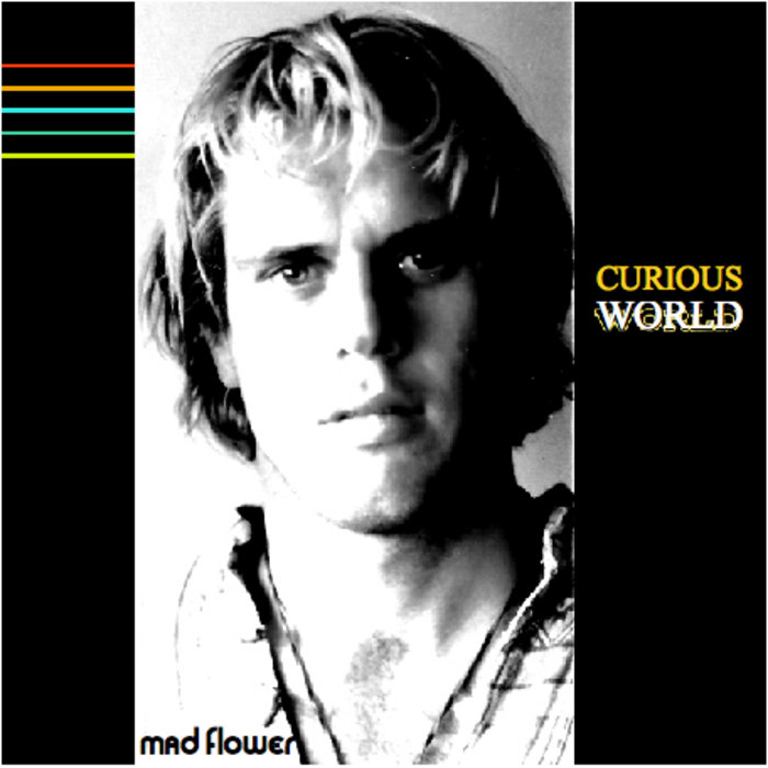 Curious World | Mad Flower | David Flower