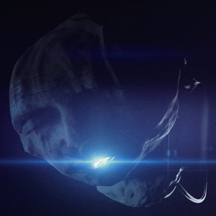 No Language | Mission to the Sun