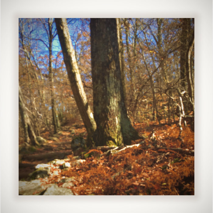 November | Ryan Larson