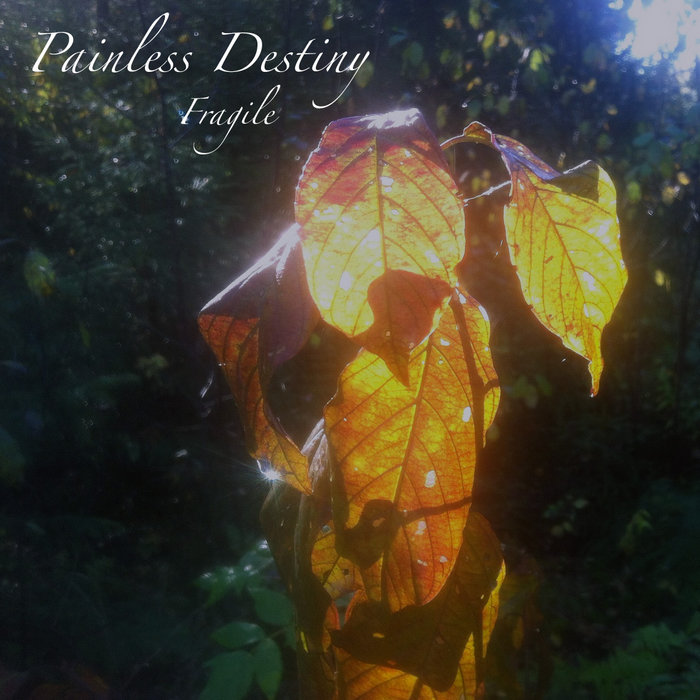 Lake at night | Painless Destiny