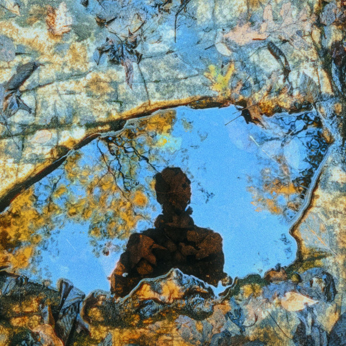 Is This What Life Is Like? | Golden Living Room