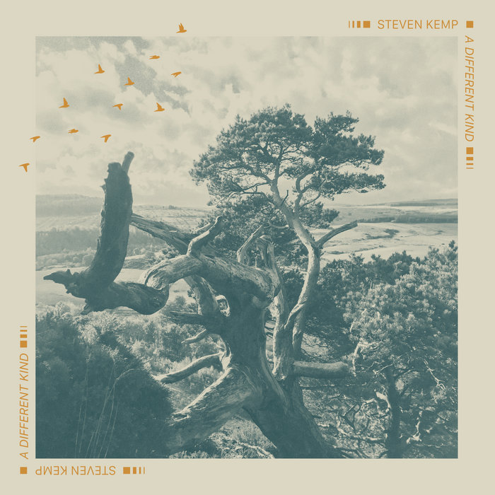 A Different Kind | Steven Kemp