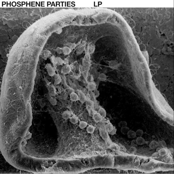 Phosphene Parties LP | Phosphene Parties