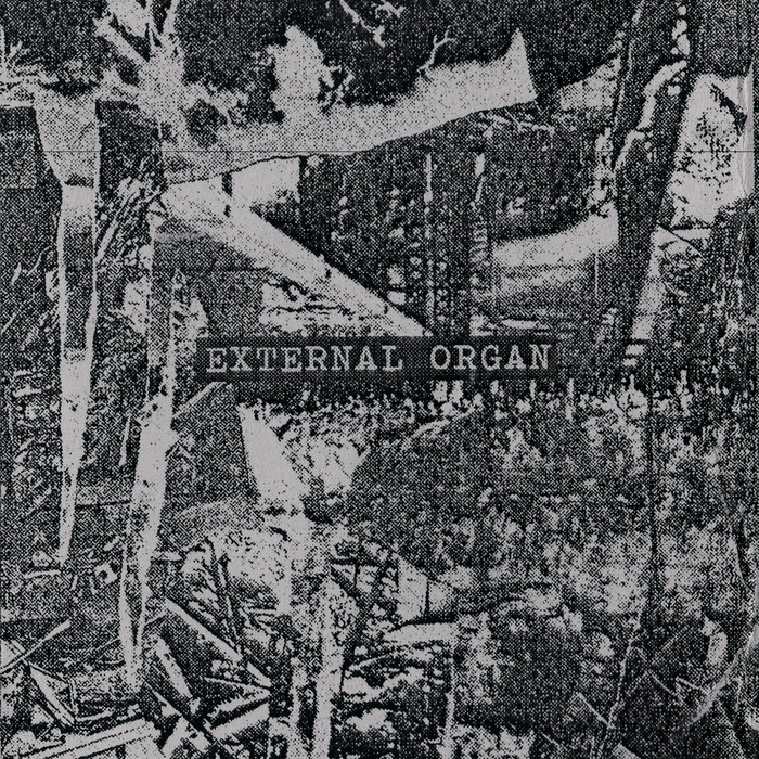Internal Void | External Organ | Sweatlung Records
