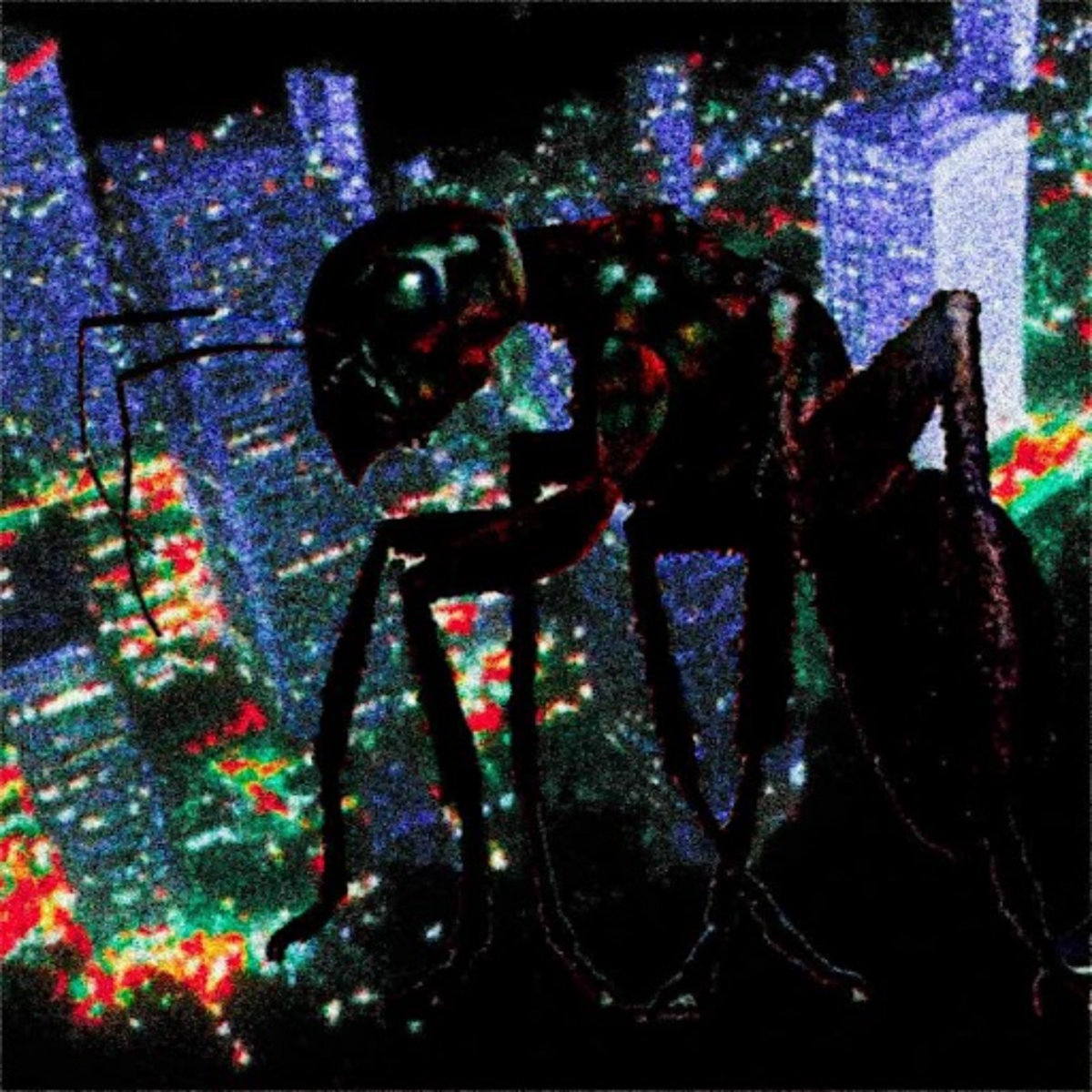 Live For An Audience Of No One | Ants On Drugs | Highsenberg