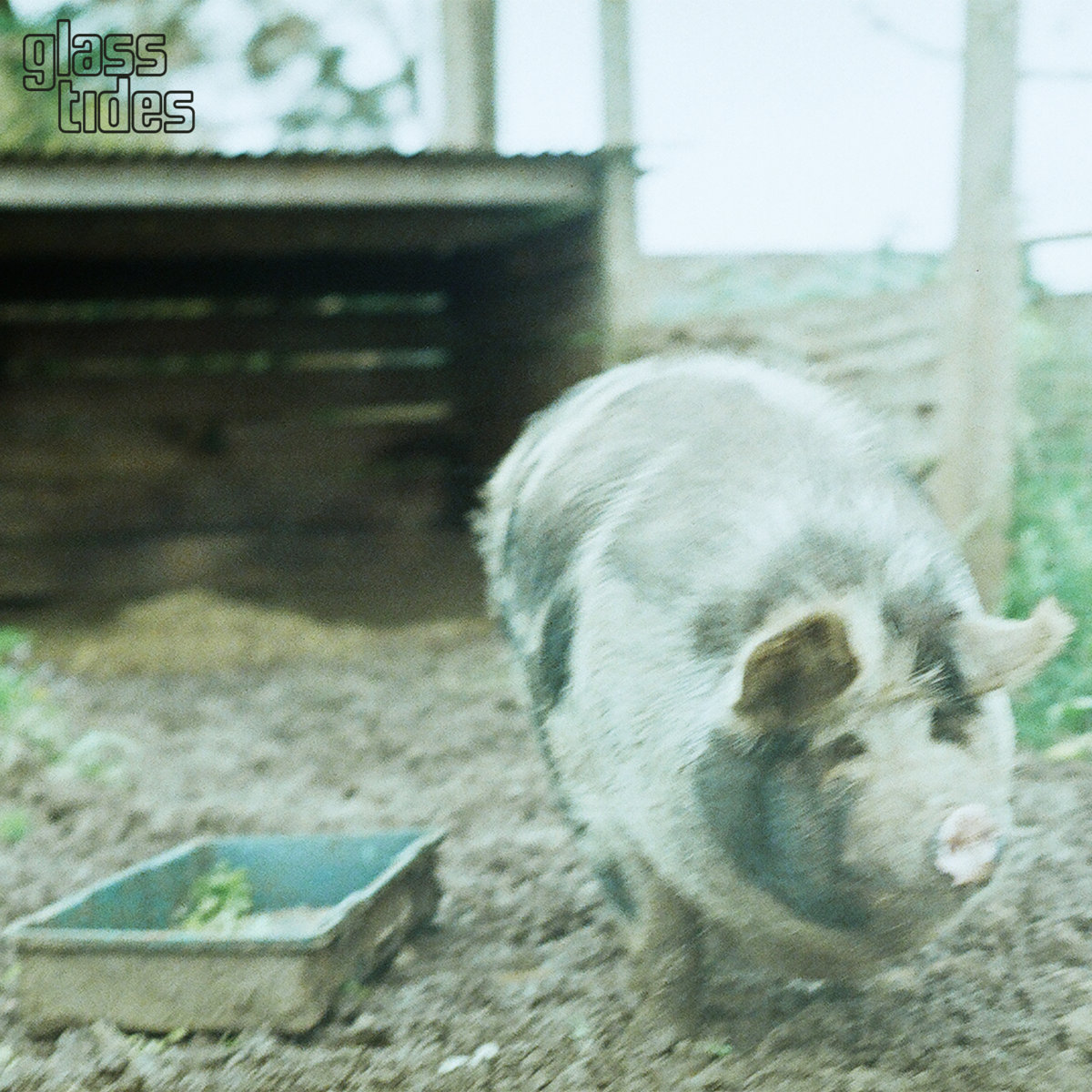 the first ep | glass tides | Goblin Records