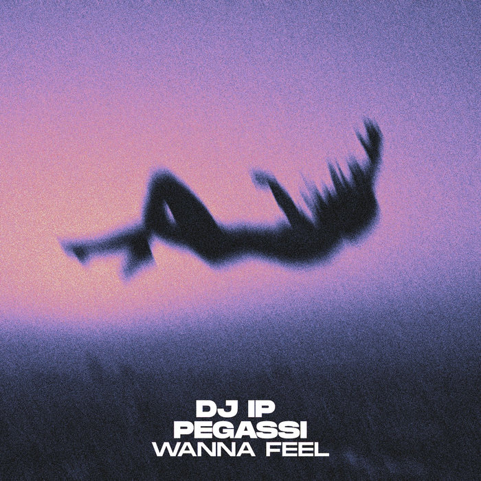 Wanna Feel (Extended) | DJ IP, Pegassi | Pegassi