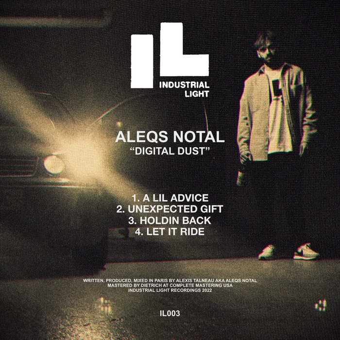 Digital Dust | ALEQS NOTAL