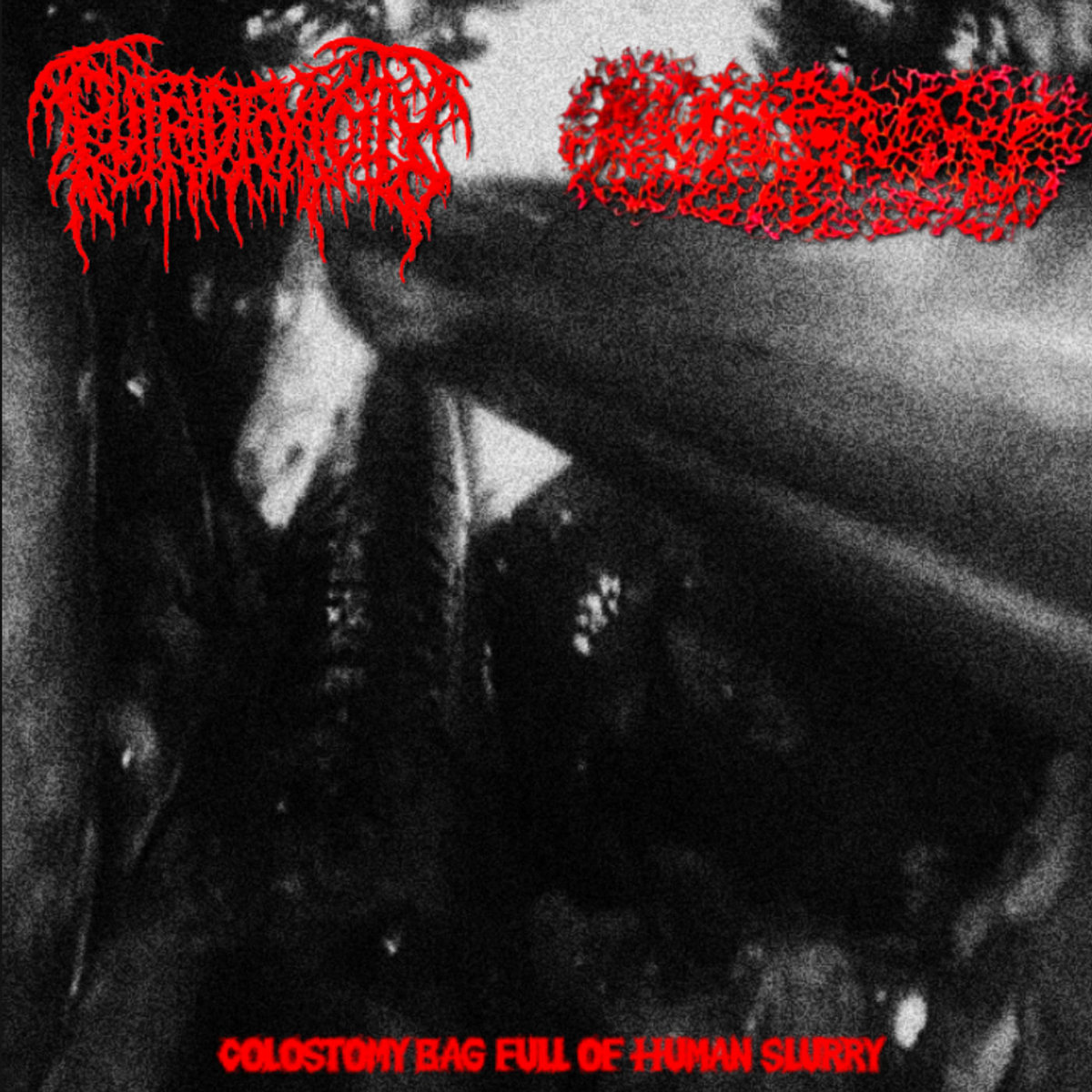 Colostomy Bag Full of Human Slurry (Feat-Kumdump) | Putrid Toxicity