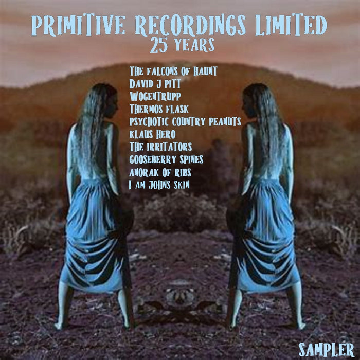 Primitive recordings limited (sampler) | Various | The Falcons of Haunt