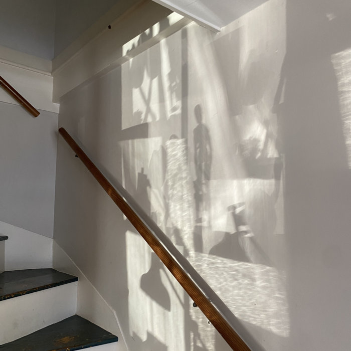 Drunken Forest | Colin Cheney