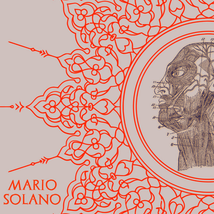 LA AUSENCIA DEL DÍA | MARIO SOLANO | Mario Solano