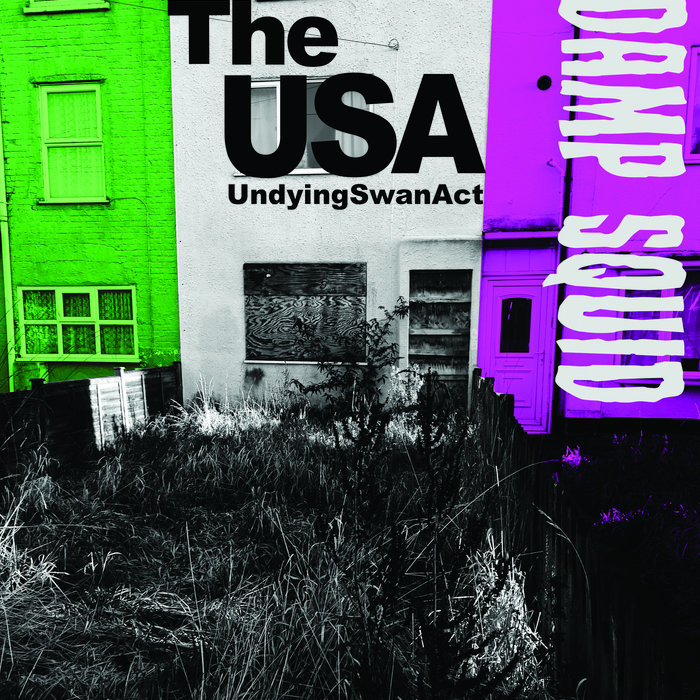 Damp Squid | The USA (Undying Swan Act)