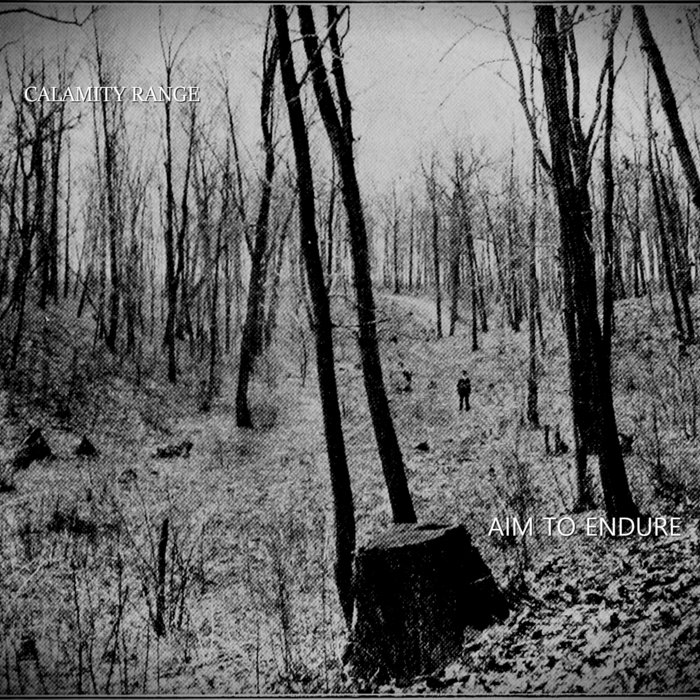 Aim to Endure | Calamity Range