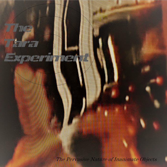 The Pervasive Nature of Inanimate Objects | The Tara Experiment
