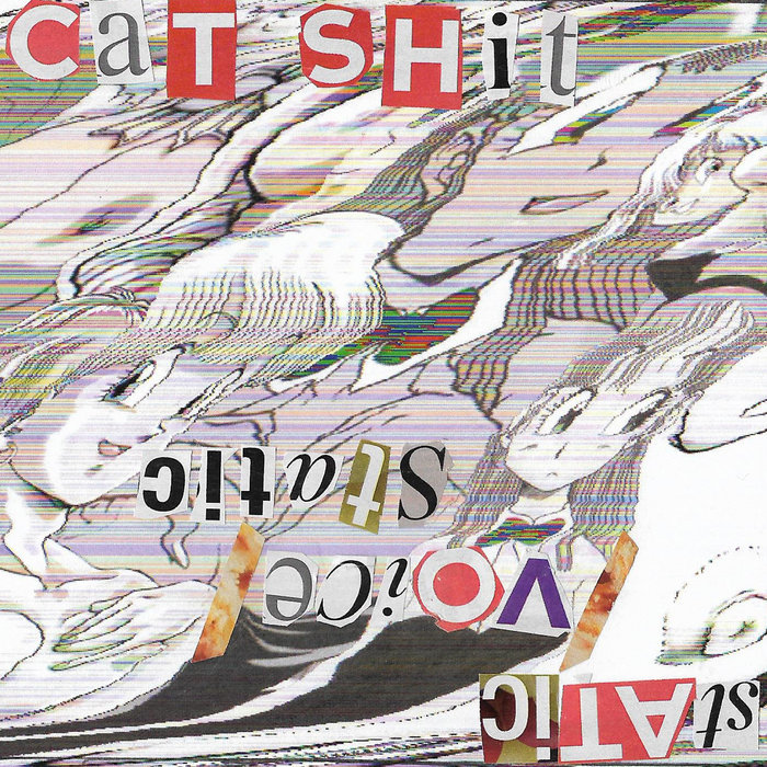Cat Shit & Static/Voice/Static | Cat Shit & Static/Voice/Static | Lost ...