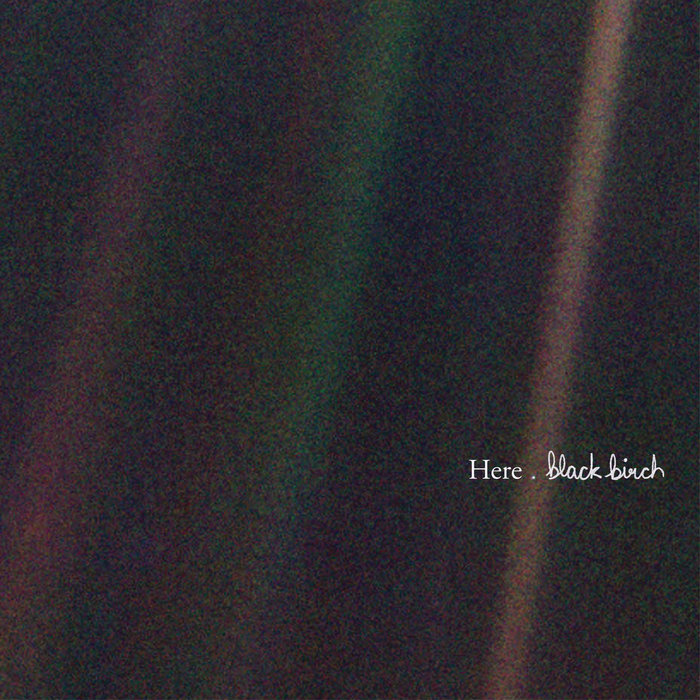 High & Low | Black Birch | Dustin Clark