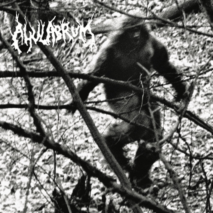Strange Lights Portend Their Presence | Ahulabrum | C/Site Recordings