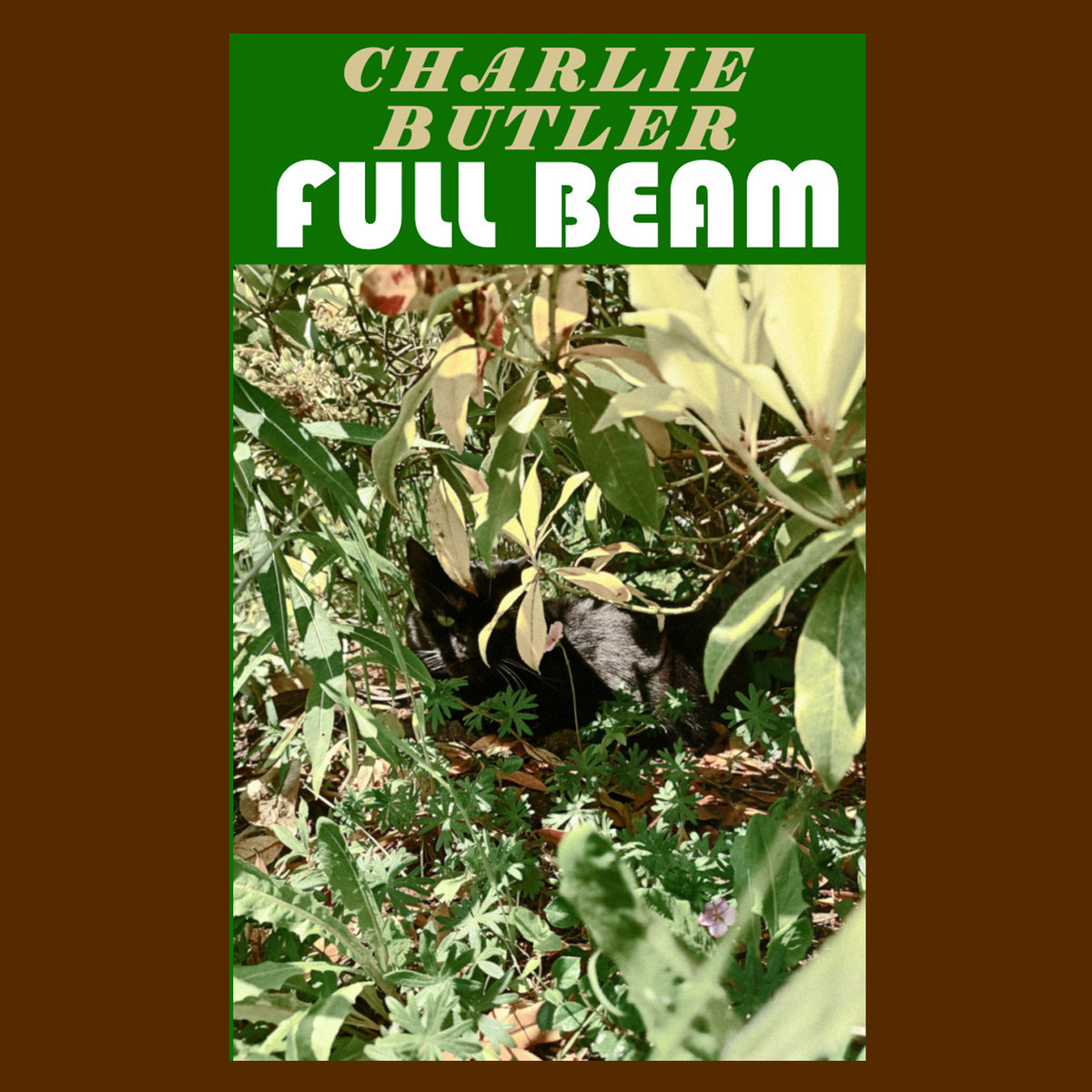 Full Beam | Charlie Butler | Cruel Nature Records