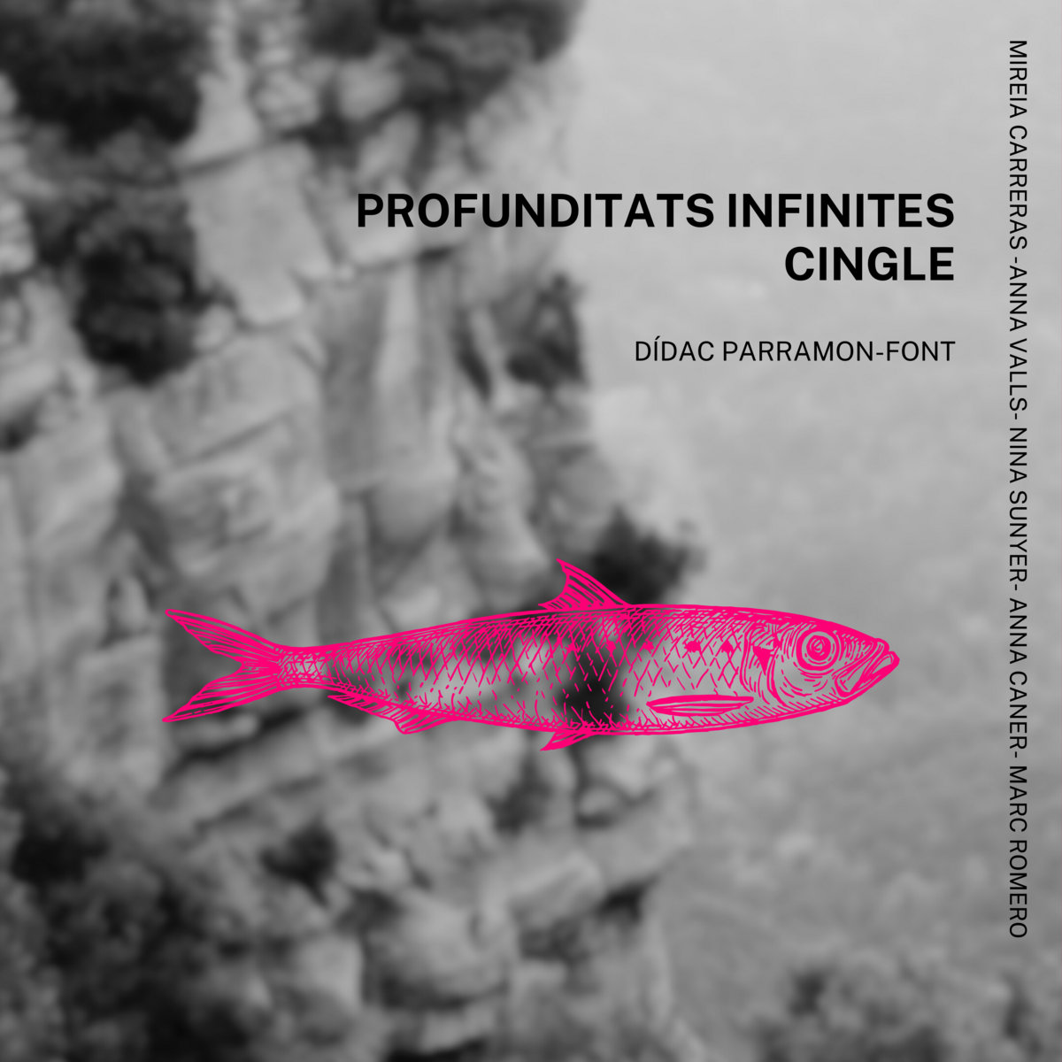 Profunditats infinites / Cingle | Dídac Parramon i Font