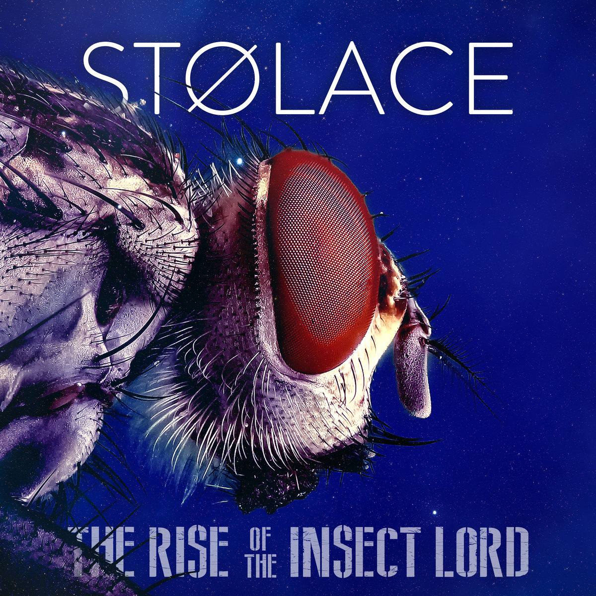 The Rise of the Insect Lord | STOLACE