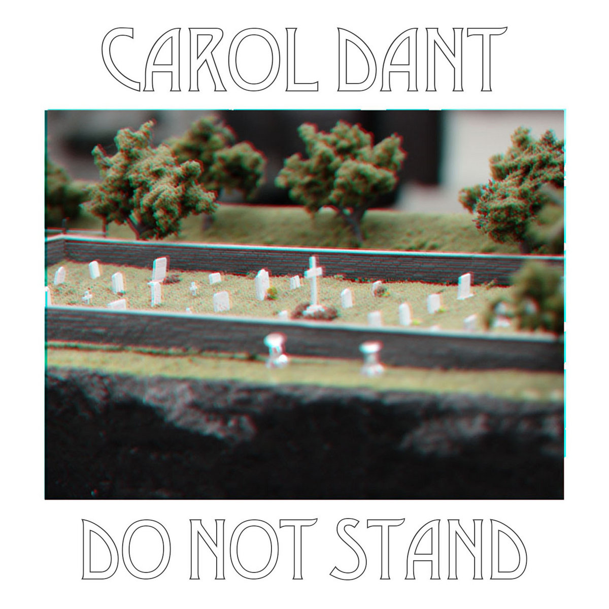 Do Not Stand | Carol Dant