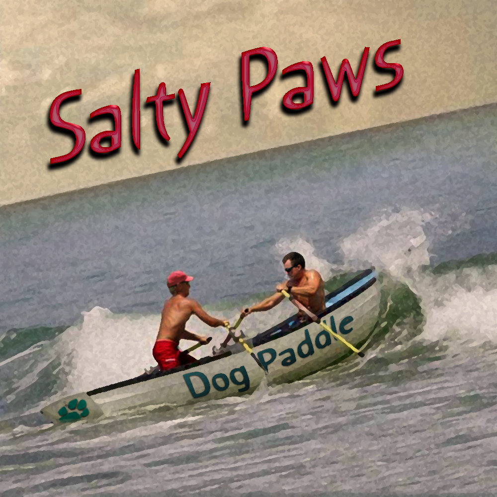 Dog Paddle | SaltyPaws