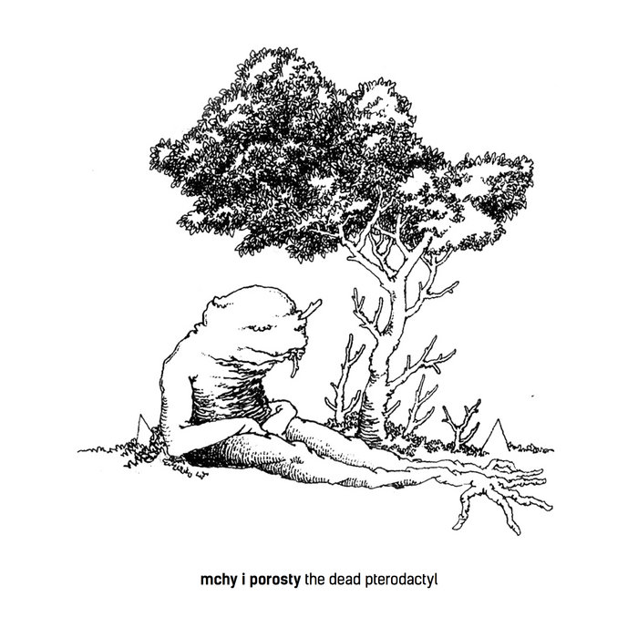 The Dead Pterodactyl | Mchy I Porosty | Kikimora Tapes