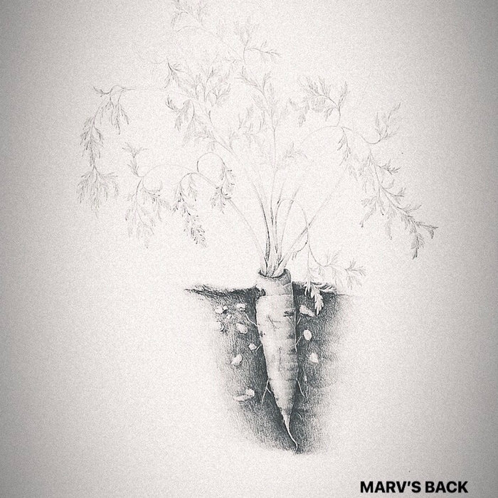 Marv's Back | Jitters
