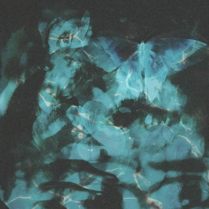 Liminal Blue Dream | June Sky