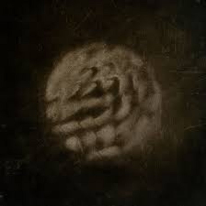 Not For Nobody | Scott Tuma