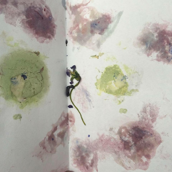 Equally Stupid | Flower Guts