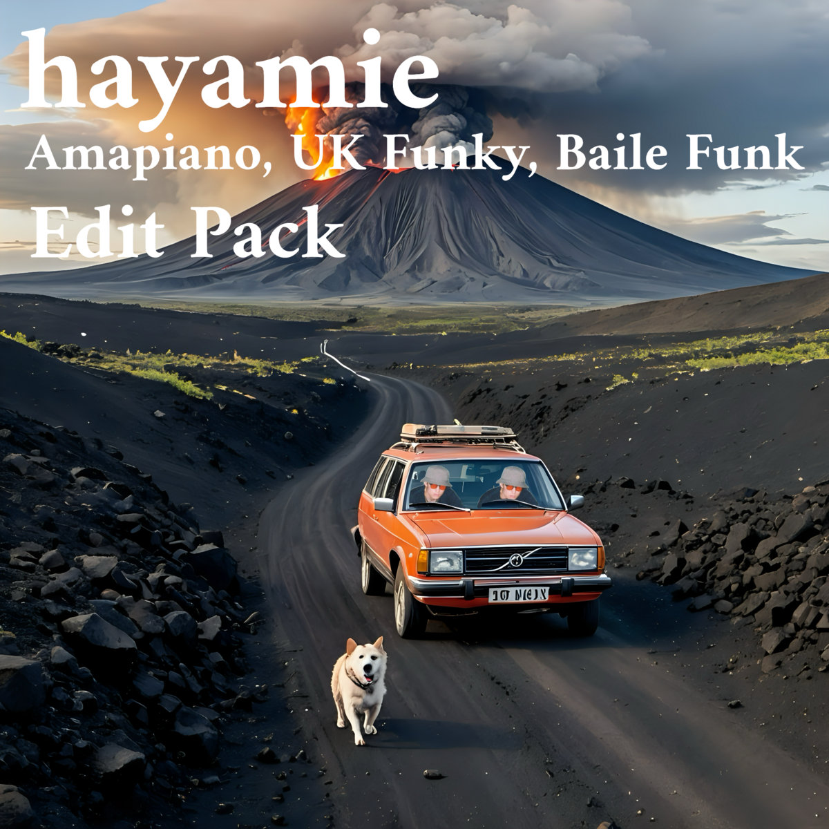 Drake & SZA - Rich Daddy Baby(hayamie UK Funky edit) | hayamie