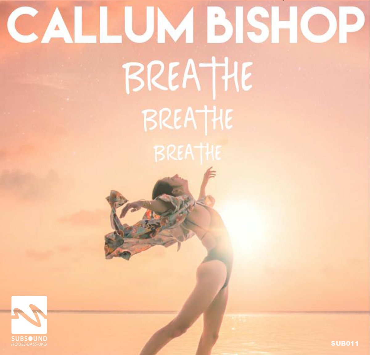 CALLUM BISHOP - BREATHE | Callum Bishop | SUBSOUND
