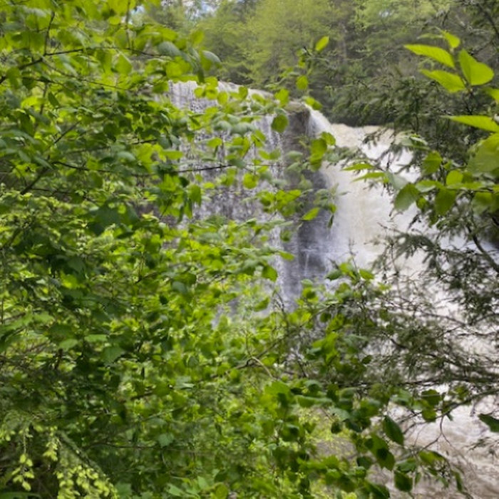 Ordinary Superhero | Bryan Velociraptor