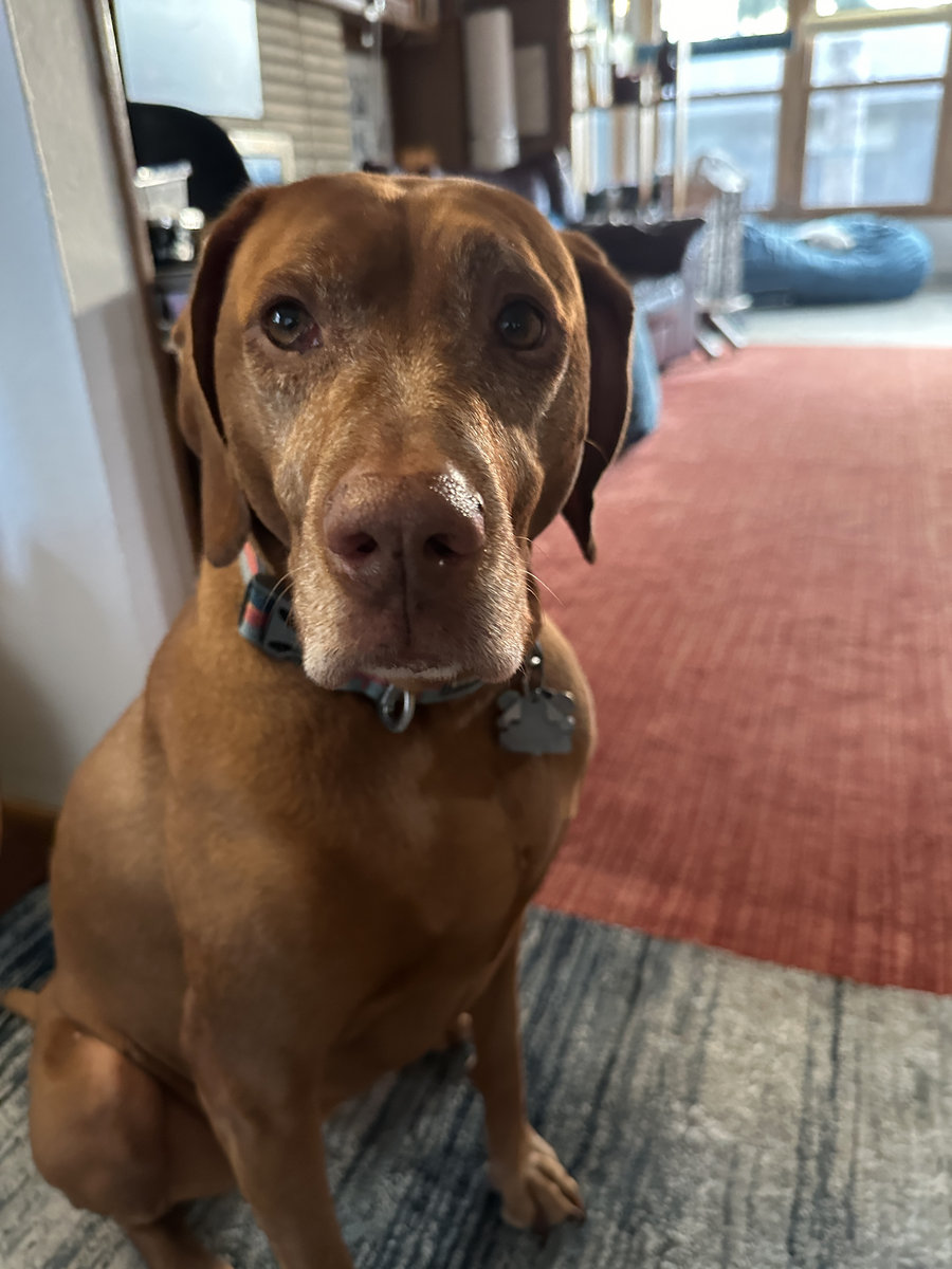 YOU and Anico Trio — Play-along workouts for guitarists and others ...