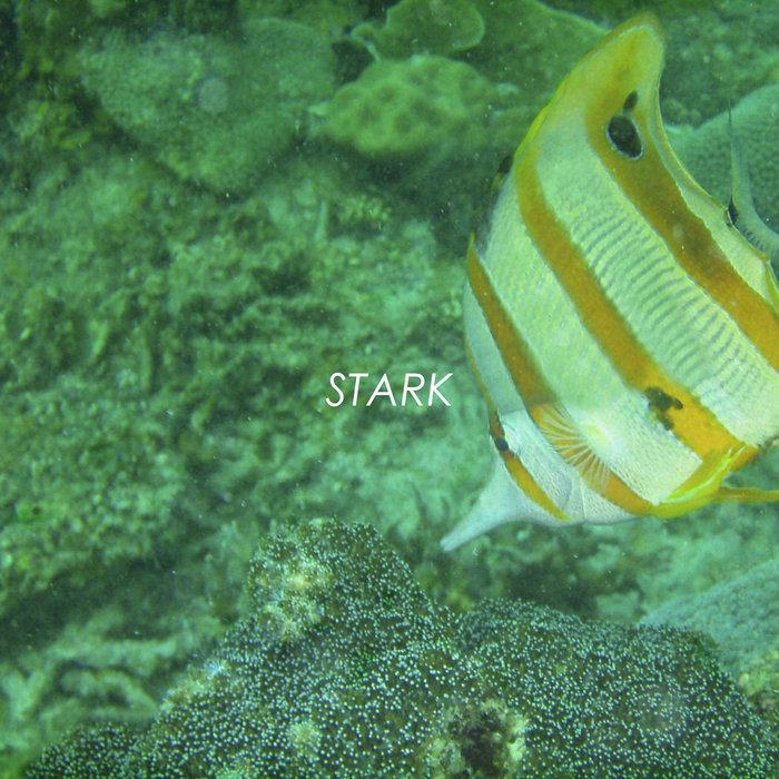 Stark (dance score) | Eden Mulholland