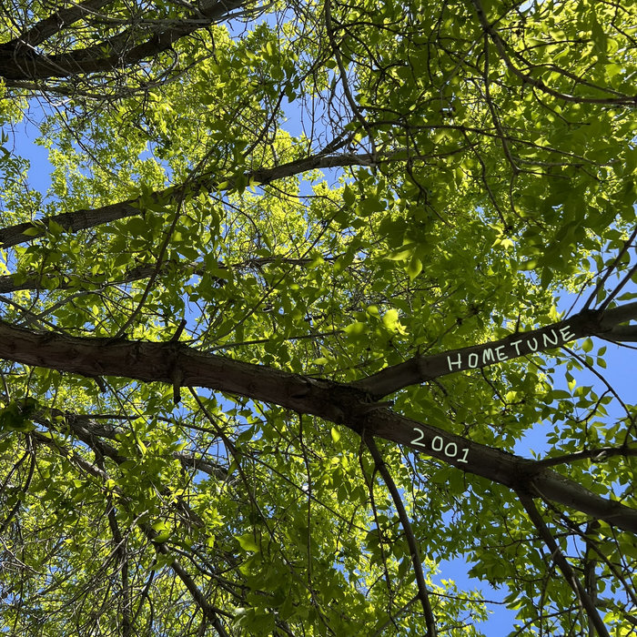 2001 | stella stranger