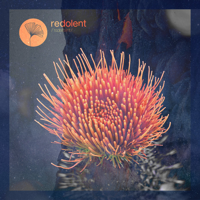 Sabo - Yali EP (Including DJ CHUS Remix) | Sabo, Dj Chus | Redolent Music