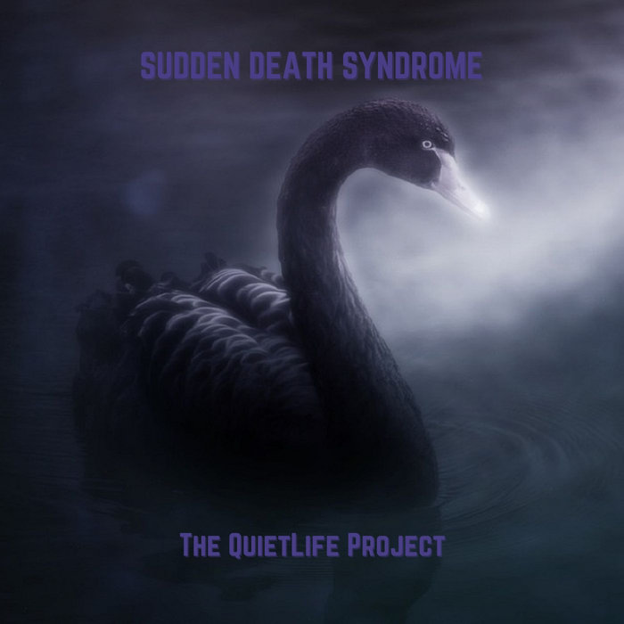SUDDEN DEATH SYNDROME | THE QUIETLIFE PROJECT | The QuietLife Project