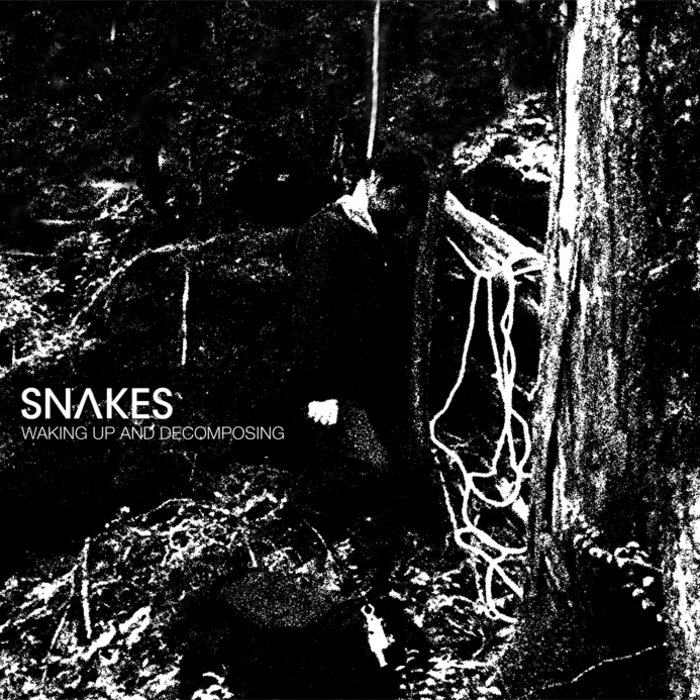 Waking Up And Decomposing | Snakes