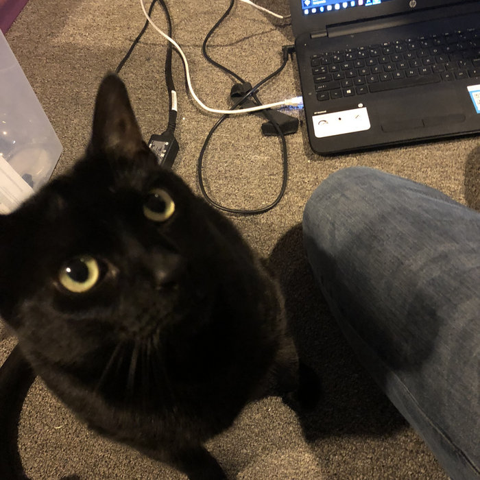 The Demo Resuscitation Project | Jesse Shepherd-Bates